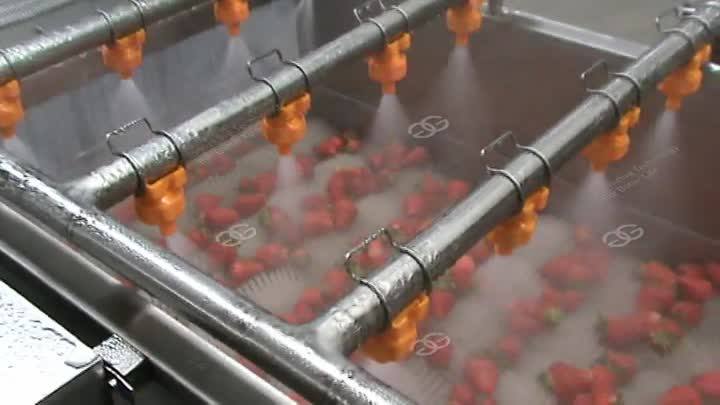 Gg-5000 Commercial Fruit Vegetable Washing Machine Apple Washer And ...