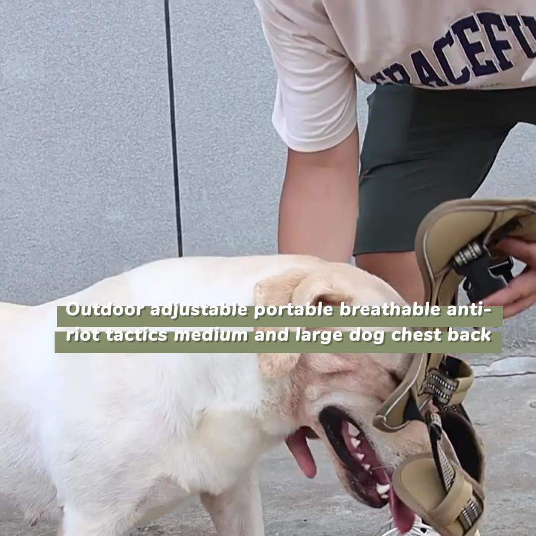 Outdoor Adjustable Portable Breathable Anti-riot Tactics Medium And ...