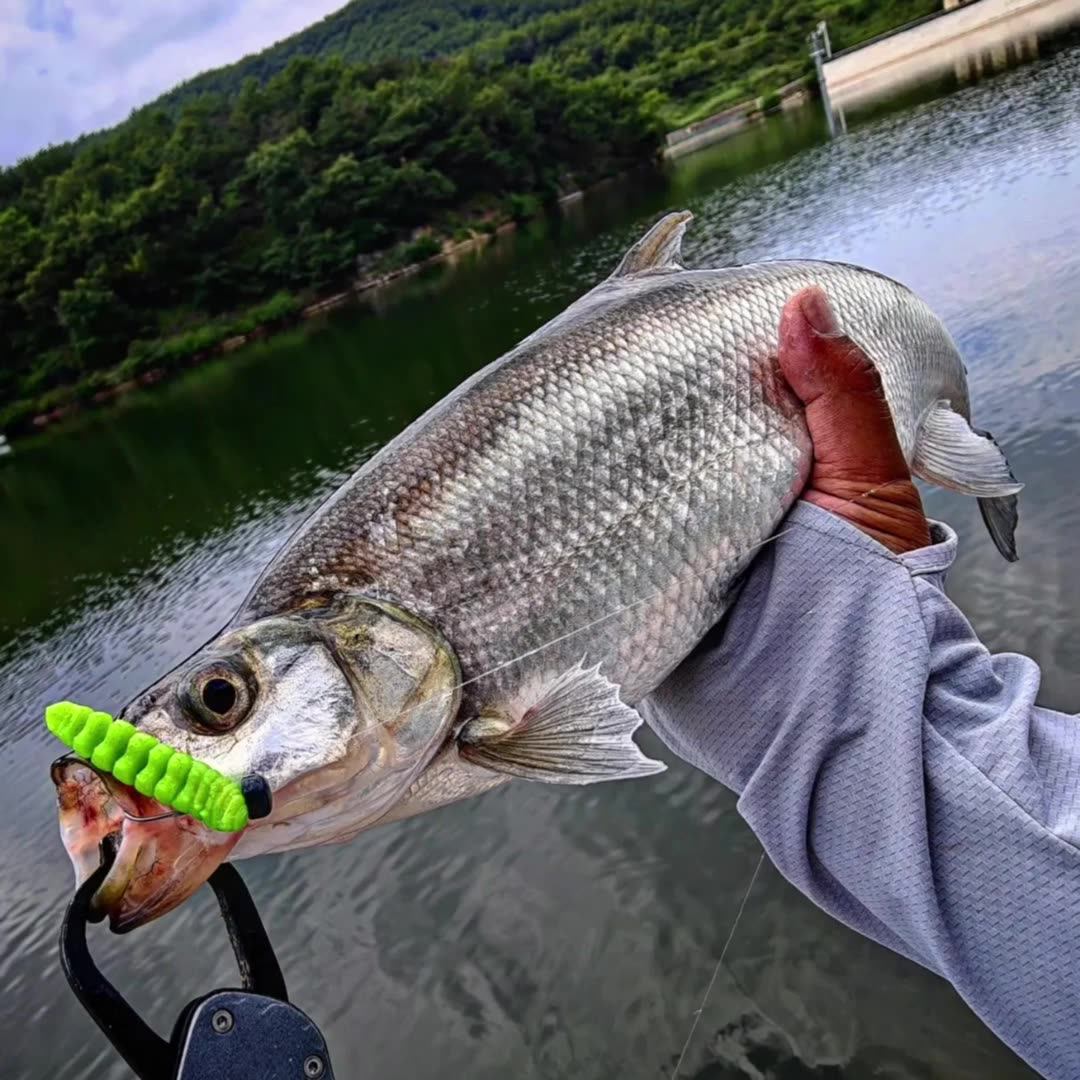 Spinpoler Poor Worm Tpr Floating Soft Plastic Bait Bionic Caterpillar ...