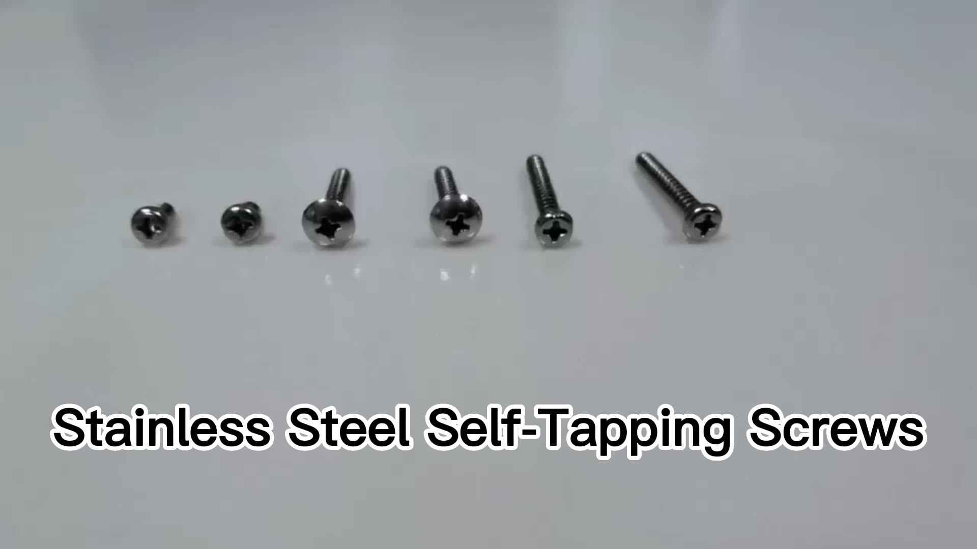 304 316 Stainless Steel Phillips Cross Pan Head Self Tapping Screw ...