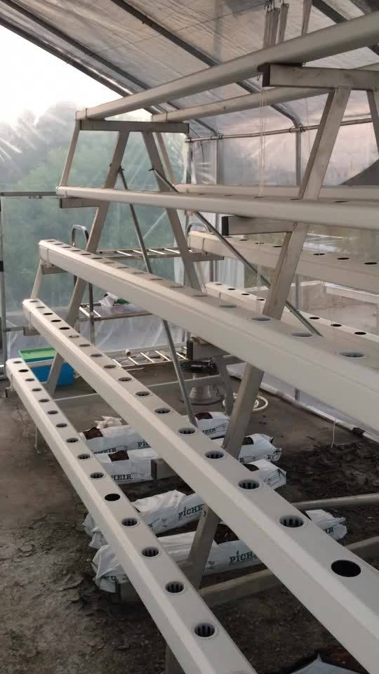 Skyplant Greenhouse Vertical Hydroponic Growing System Aquaponics ...