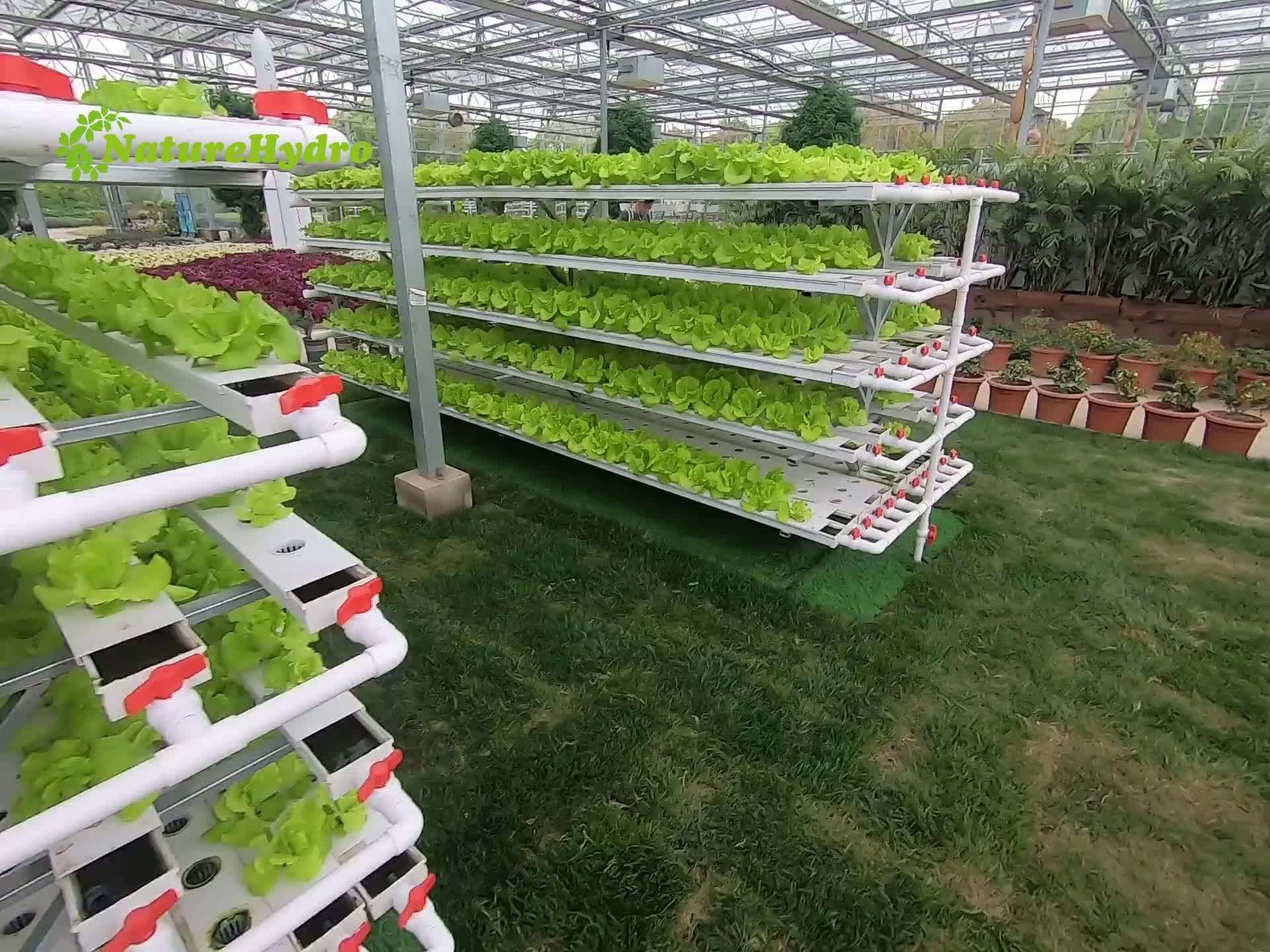 High Quality Hidroponia En Tubos De Pvc - Buy Hidroponia En Tubos De ...