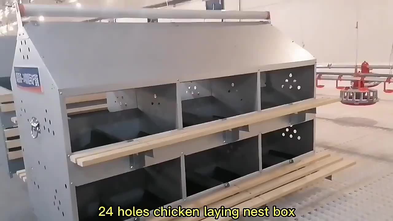 24 Holes Galvanized Coop Collection Eggs Hens Nesting Box Metal Chicken ...