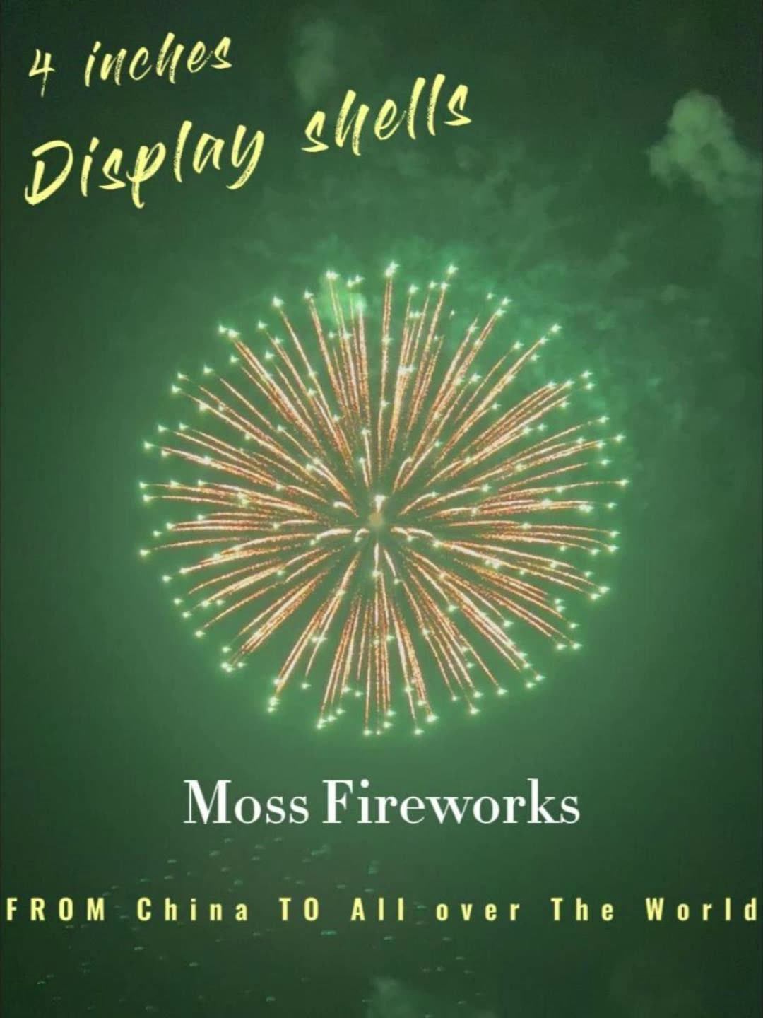 Professional Fireworks Petardi Vuurwerk Pyro 4 Inch Artillery Shells ...