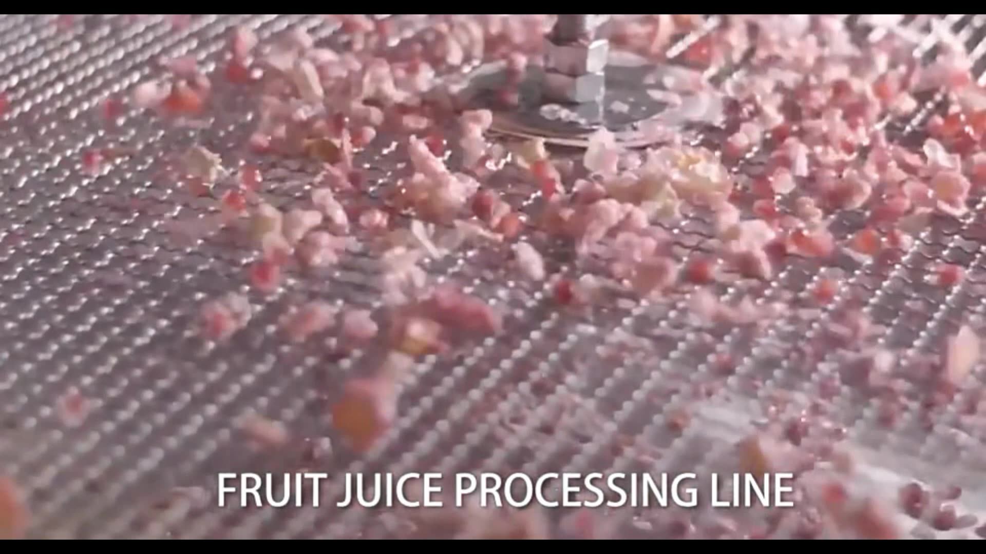 Palm Dates Processing Line Jujube Processing Machine Date Syrup ...