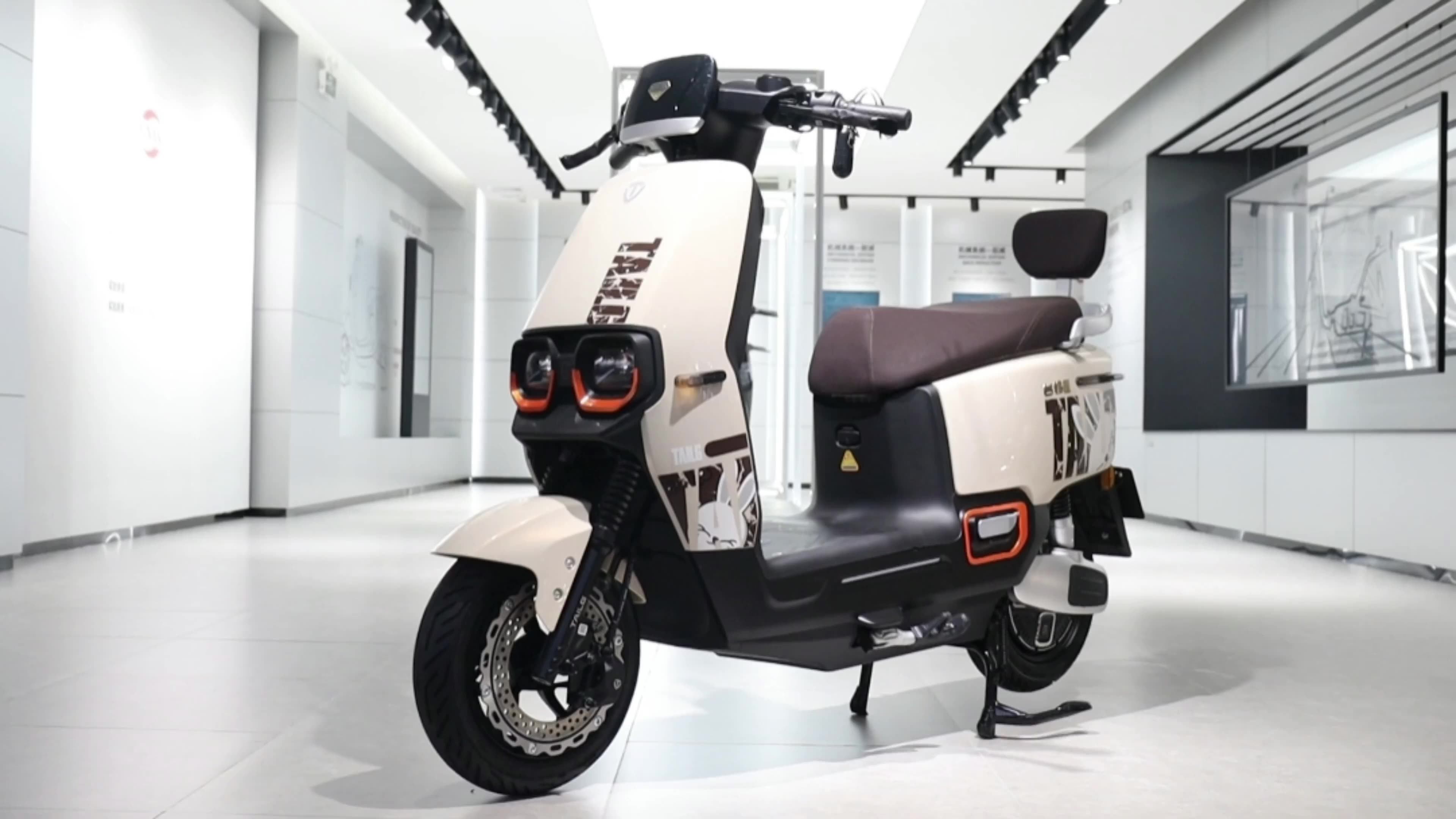 Tailg Chinese High Quality 100km 48v Two Wheel Fast Self-balancing ...