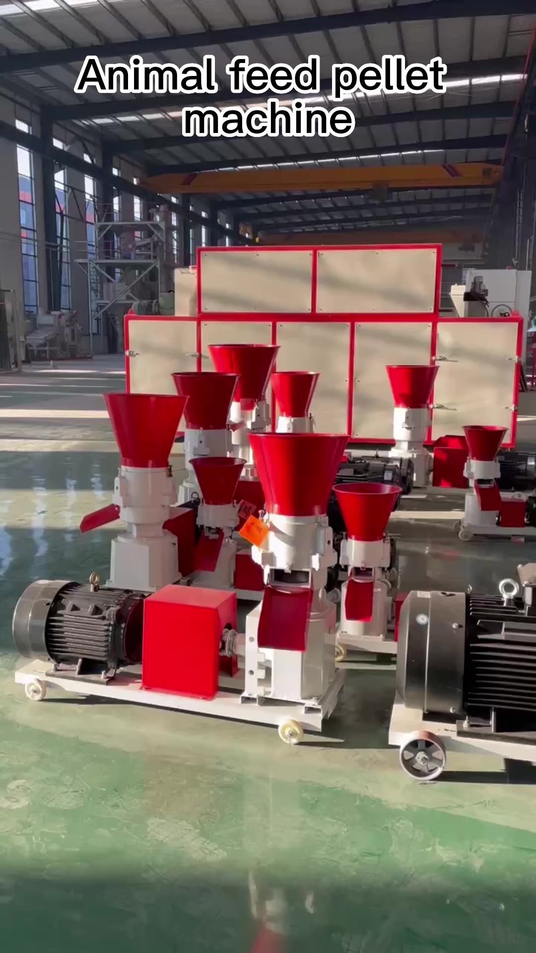 Lima Cattle Sheep Fish Feed Pellet Mill 200kg/h Automatic Chicken ...