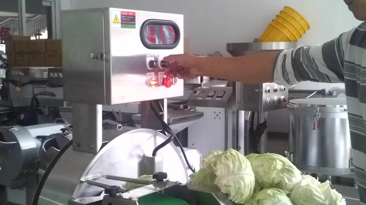 Electric Commercial Cabbage Shredder Cutting Machine Cutter Cabbage ...