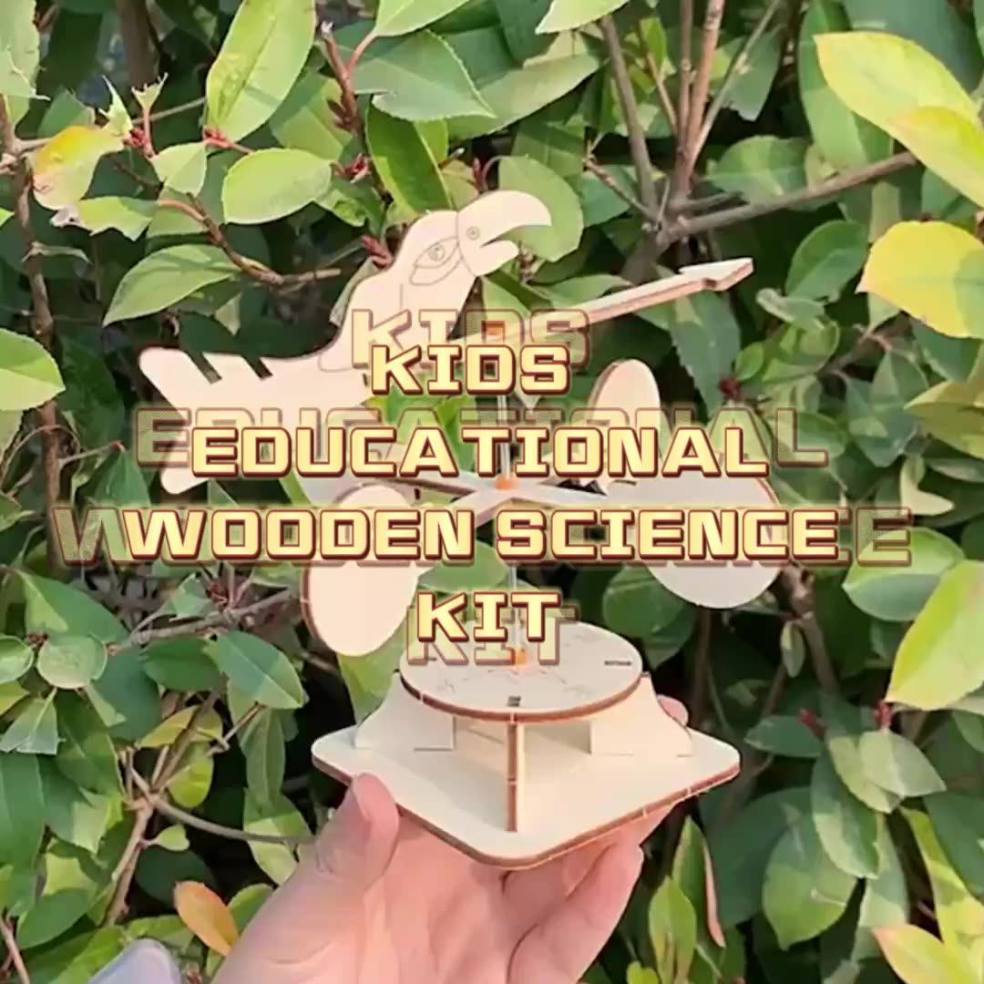 Diy Stem Educational 3d Wooden Puzzles Assembly Science Experiment Kit ...