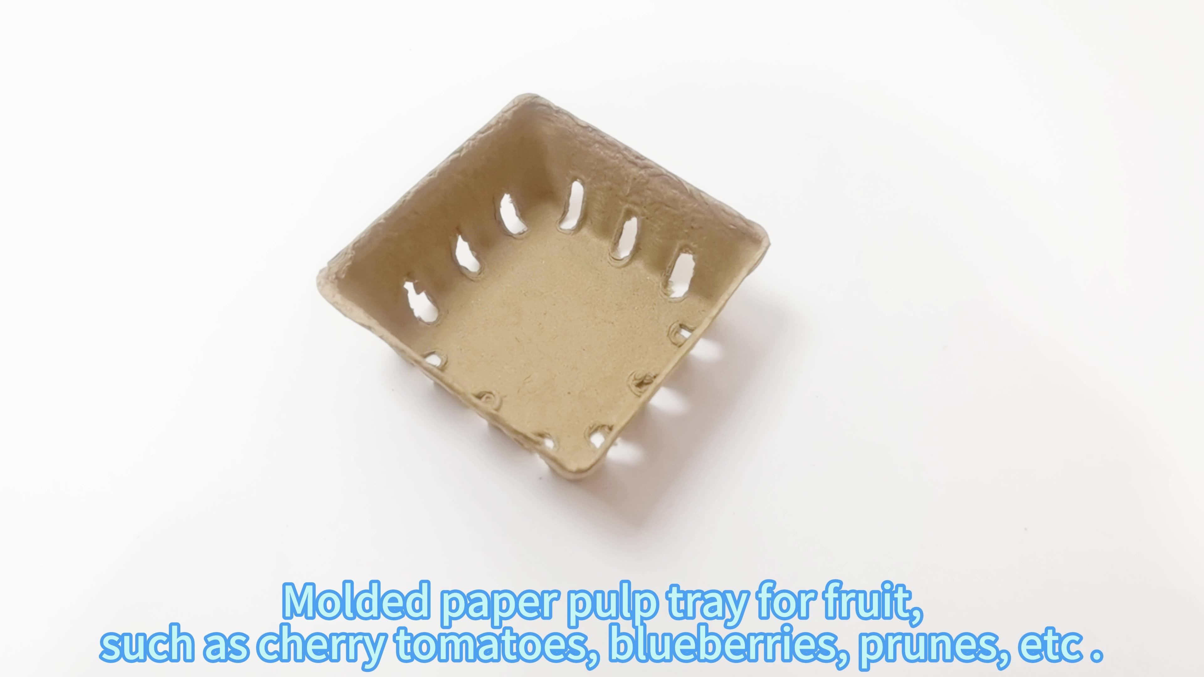 Disposable Recycle Eco Friendly Blueberry Container Paper Pulp Box ...