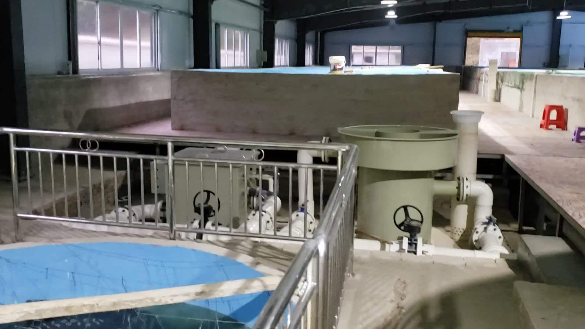 Intelligent Circulating Aquaculture Monitoring System For Fish Farming ...