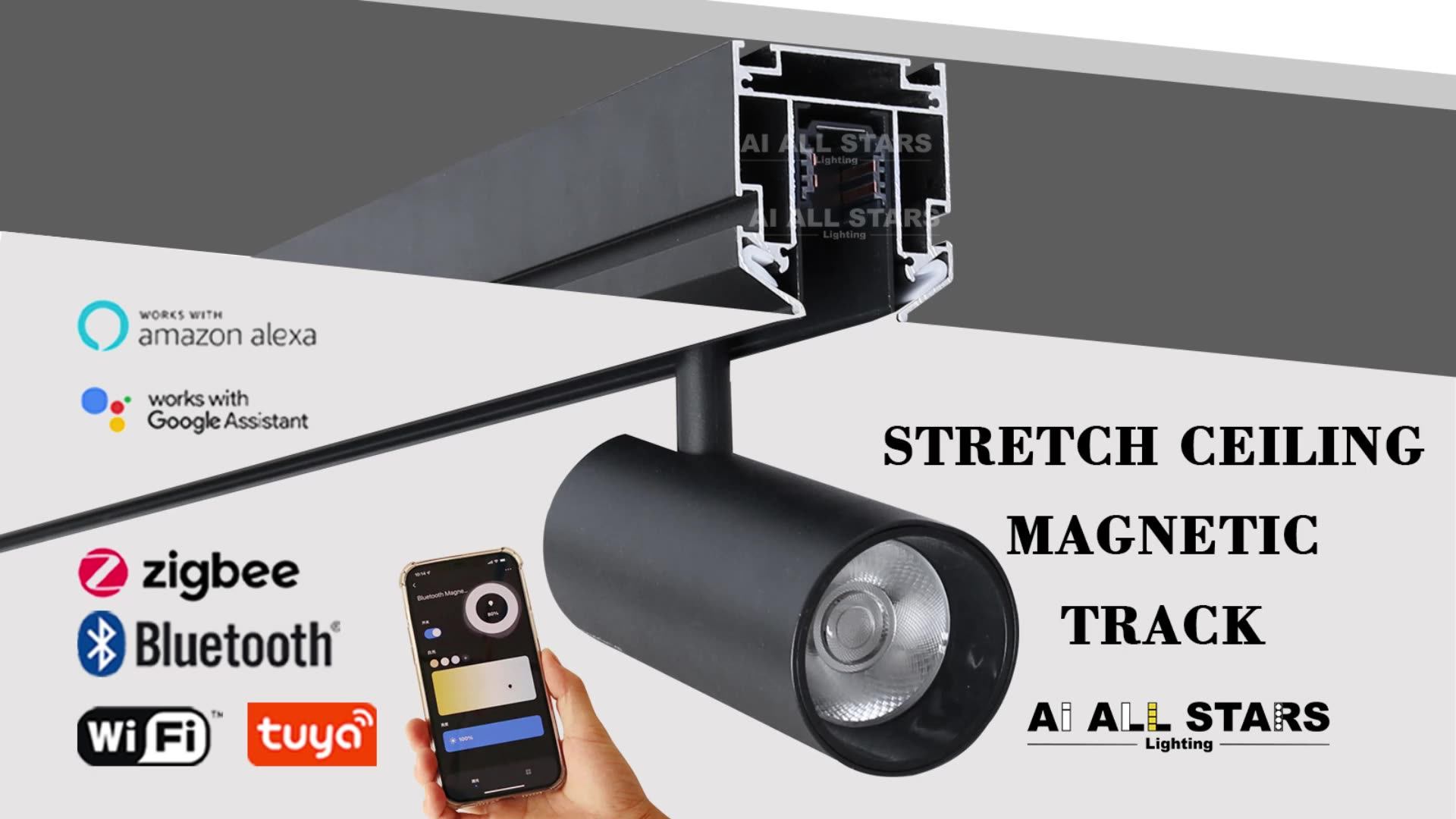 48v Smart Dimmable Magnetic Track Light Surface Recessed Aluminum Track ...