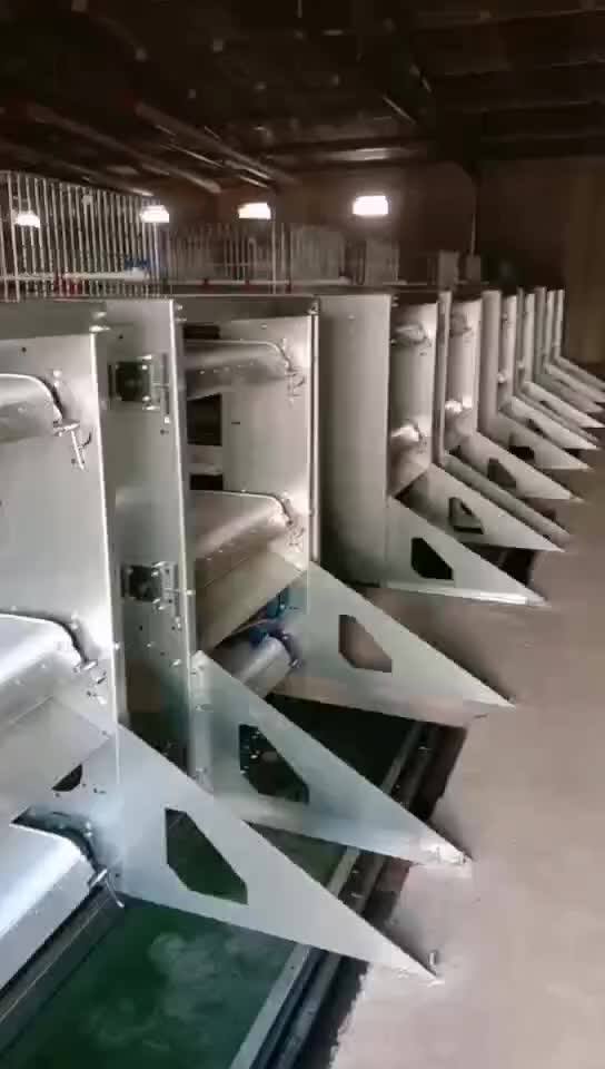 Animal Automatic Retractable Scraper Poultry Dung Cleaner Large Pig ...