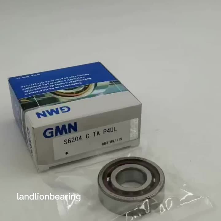 Gmn High Precision Spindle Bearing Hy Kh 6003 2rz C Ta P4+dul - Buy ...