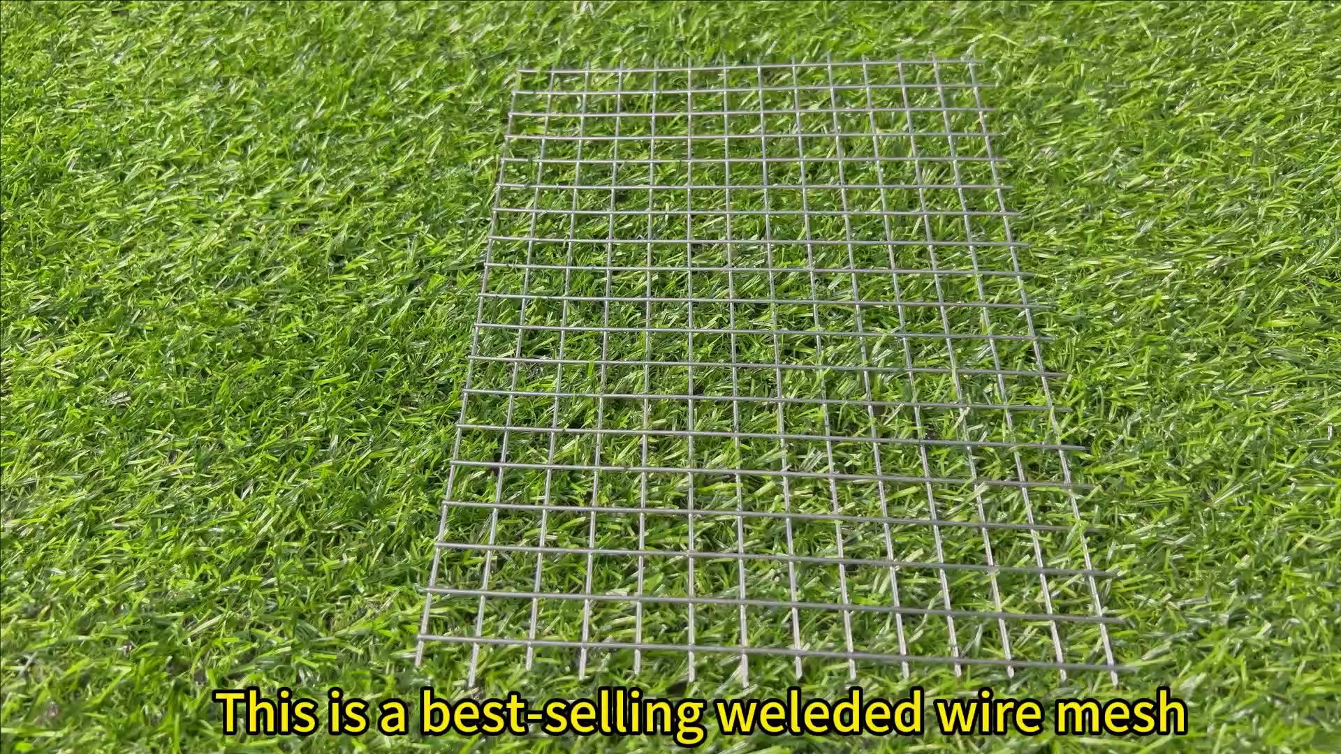 Livestock Hot Galvanized Welded Wire Mesh Roll Chicken Coop Pvc Coated Welded Wire Mesh Pet Cage ...