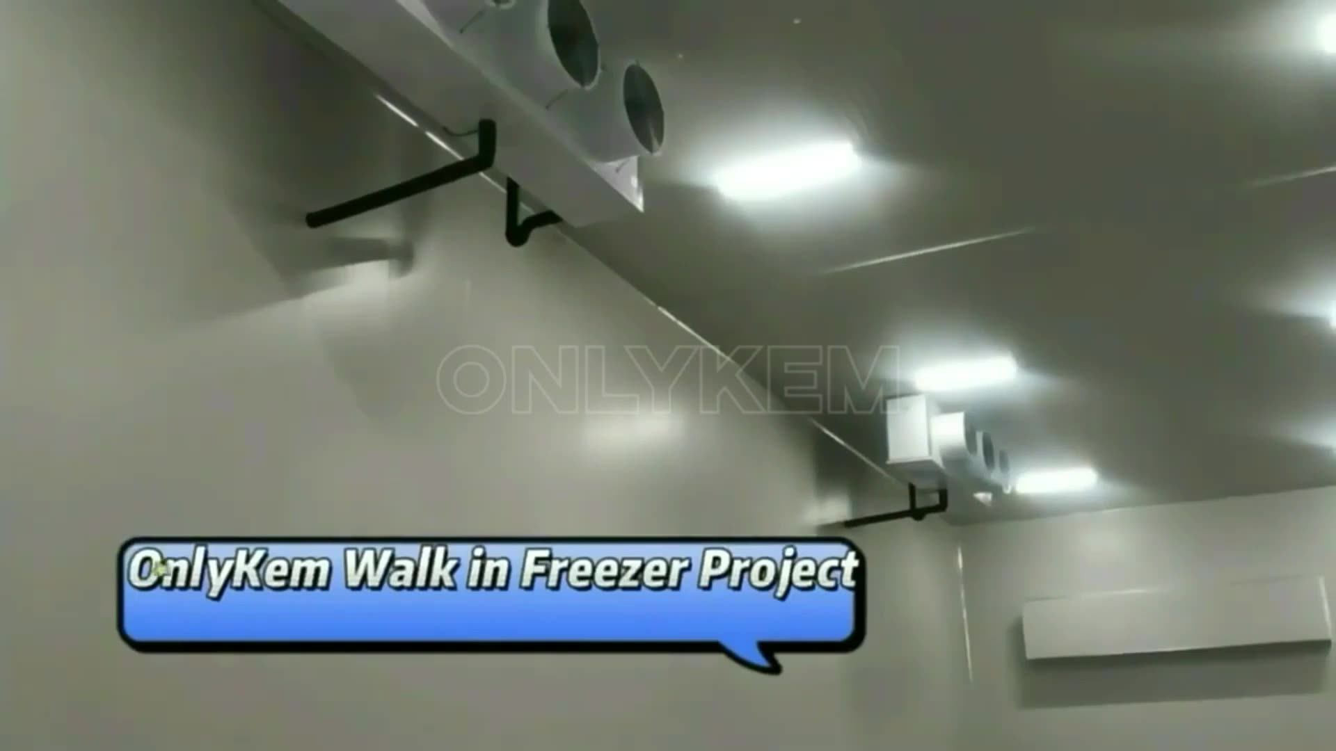 Butcher Shop Freezer Room Walk In Chiller Walk In Freezer For Meat/fish ...