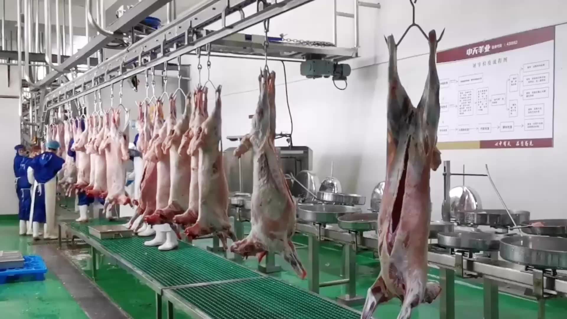 Halal Goat Abattoir Equipment Sheep Skinning Peeling Machine/lamb ...