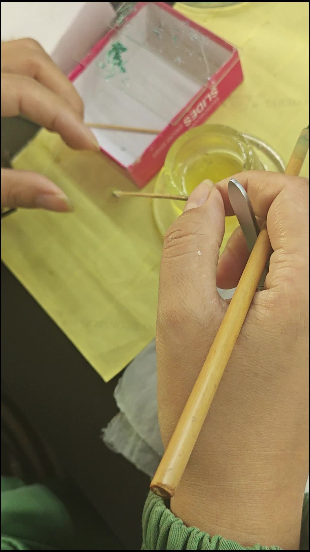 Histology Human Tissue Microscope Histology Slide Study University ...