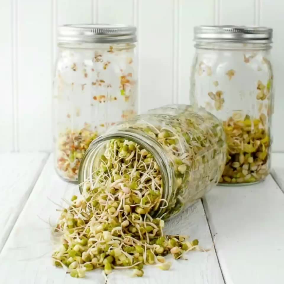 Seed Sprouting Jar Kit 2 Sprouter Glass Mason Jars With Screen Lids Stands And Trays Buy