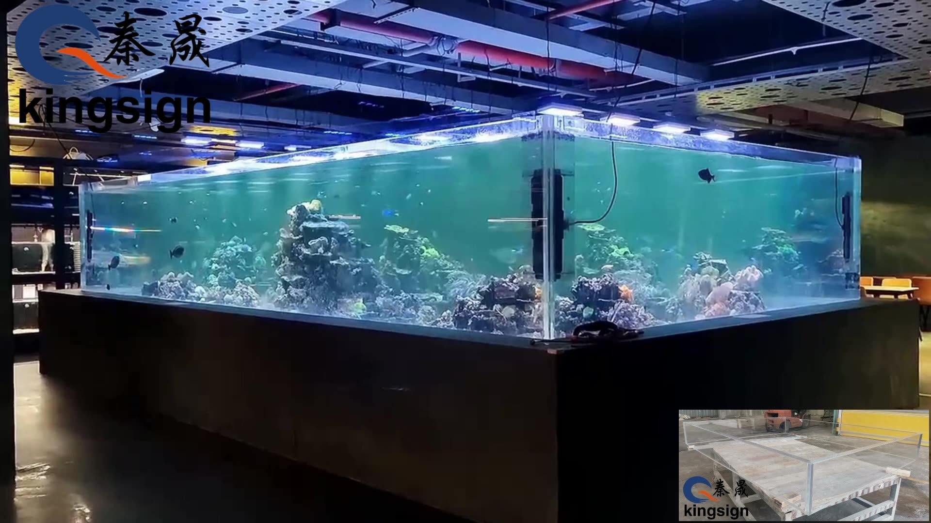 Kingsign Huge Glass Tank Jellyfish Aquarium High Quality Acrylic Glass ...