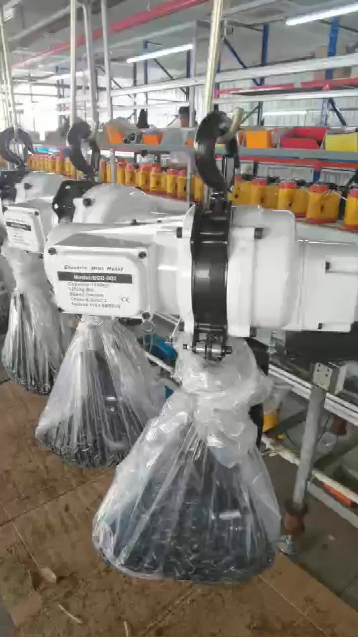 250kg 500kg 1000kg Light Weigh Single Phase 110v / 220v Mini Electric ...