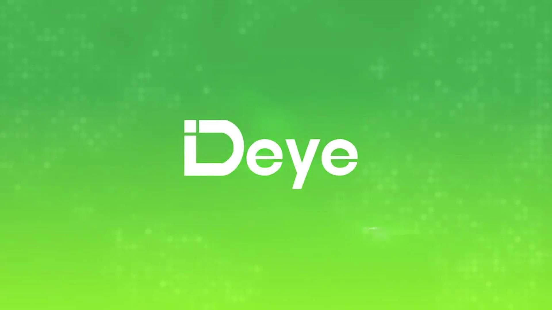 Deye Official After-service Three Phase Hybrid Inverter Sun-10k-sg04lp3 ...