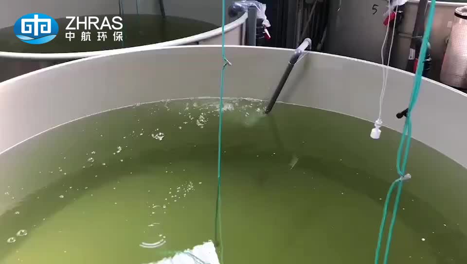 Indoor Lobster Farming Live Lobster Farm,Pond Fish Farm,Tilapia Shrimp ...