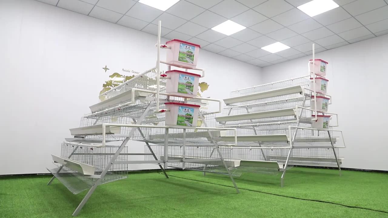 Galvanized Chicken Layer Cages For Laying Hens Battery Cage Dimensions ...