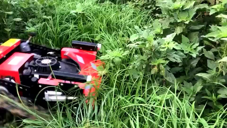 Remote Control Electric Robot Lawn Mower Crawler Lawn Mower Small Lawn ...