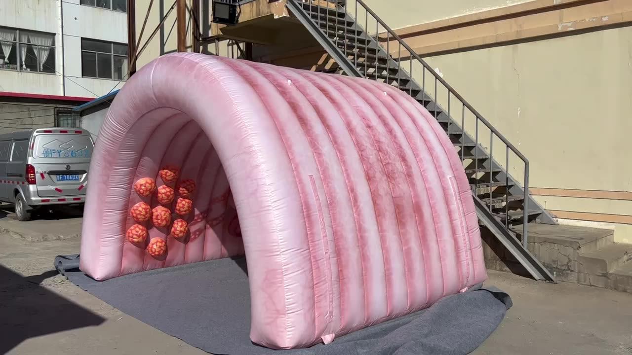 Large Intestine Inflatable Model For Medical,Mega Colon Inflatables ...