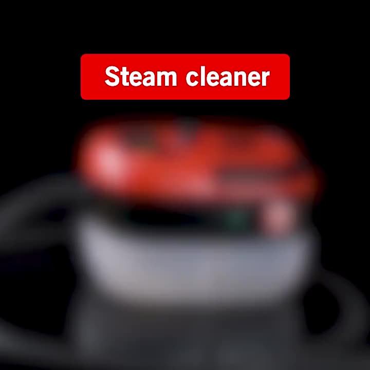 High Temperature And Pressure Steam Cleaner 2500w 110v 220v Electric ...