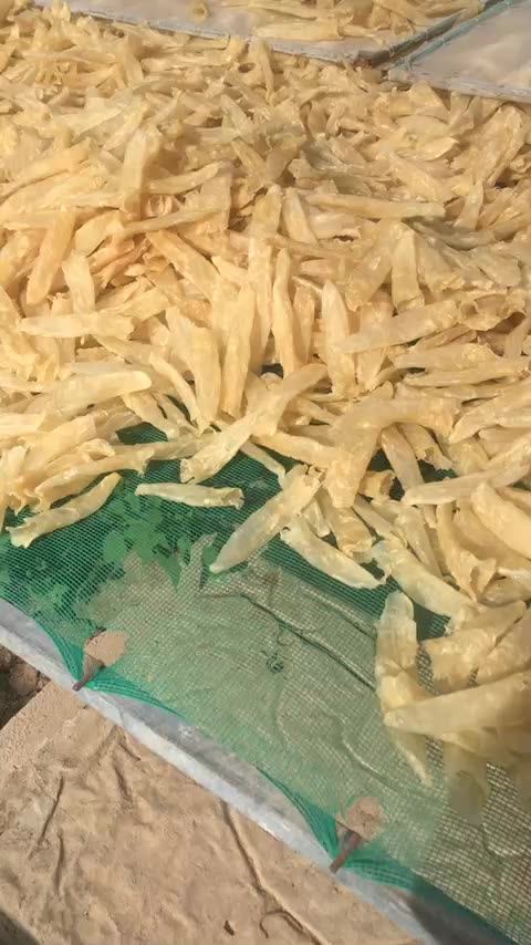 Wholesale Fish Maw - Dried Fish Maw - Swim Bladder - Gas Bladder From ...