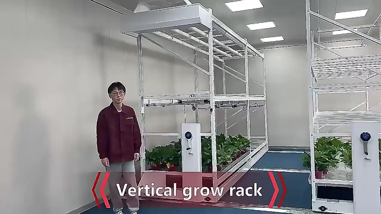 2 Tier Vertical Grow Rack Plants And Seedling Cultivation Growing Rack ...