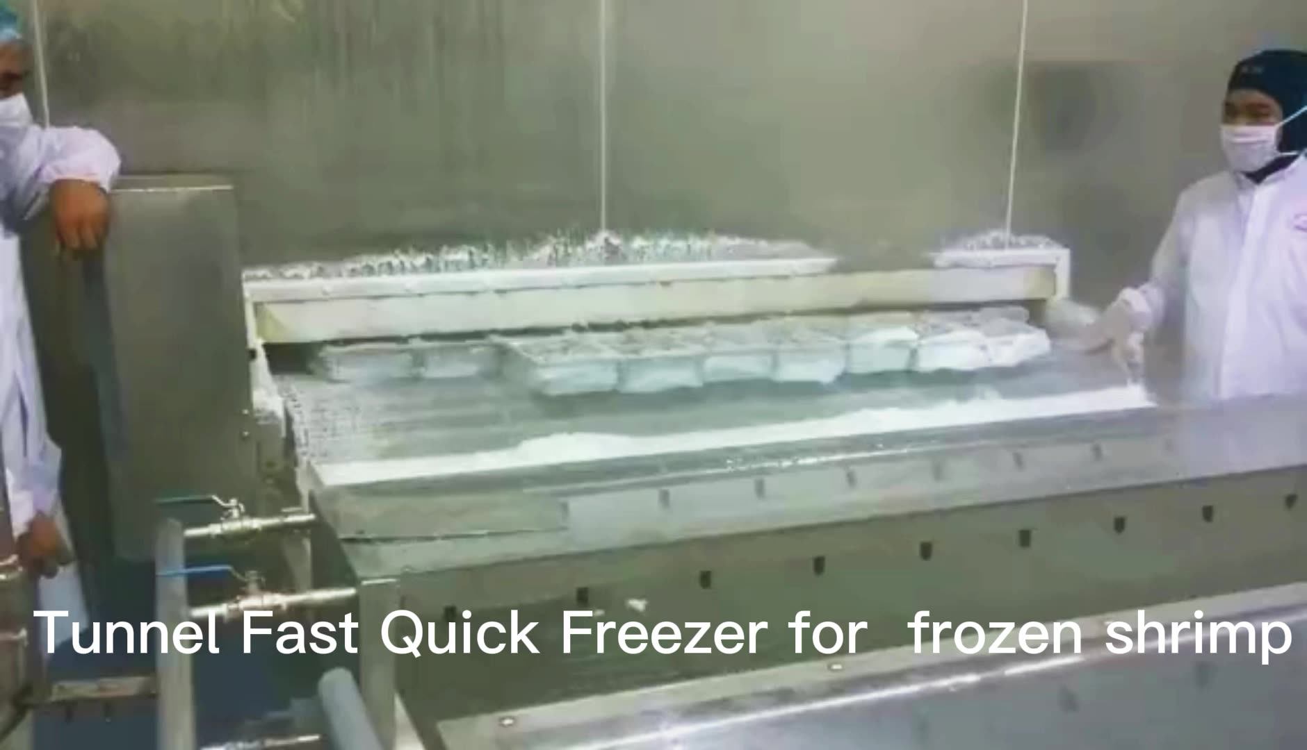 Tunnel Iqf 500 Mini Nitrogen Freezer - Buy Mini Nitrogen Freezer,Tunnel ...