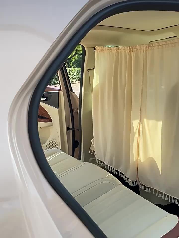 Universal Sealed Car Taxi Front And Rear Isolation Partition Privacy ...