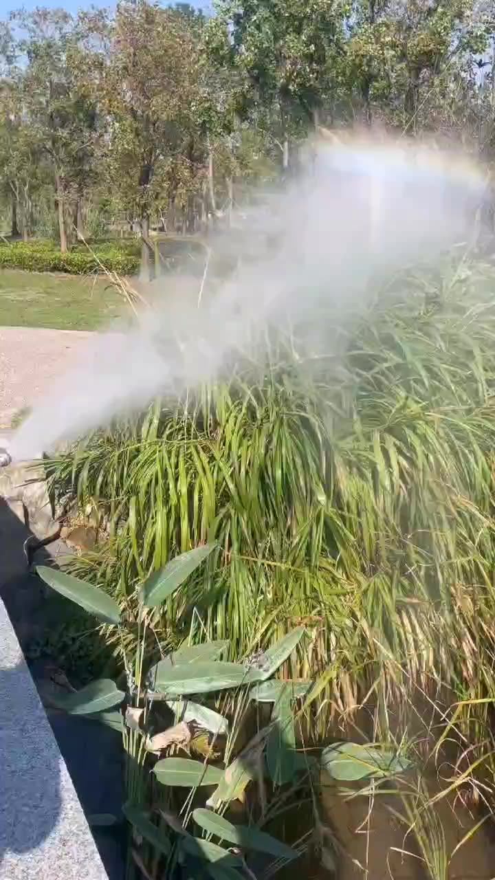 4-stroke 139f Power High Pressure Gasoline Portable Sprayer ...