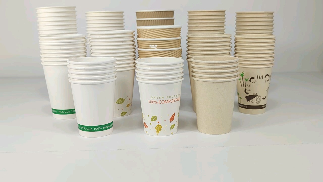 100% Biodegradable Disposable Take-away Fast Food Packaging Cup Paper ...