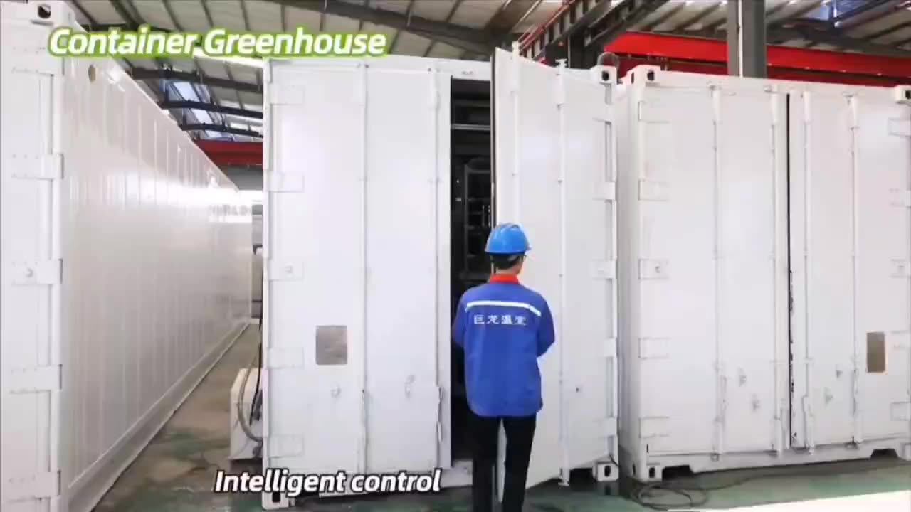 Shipping Container Farm For Hydroponic Fodder Growing System Vertical ...