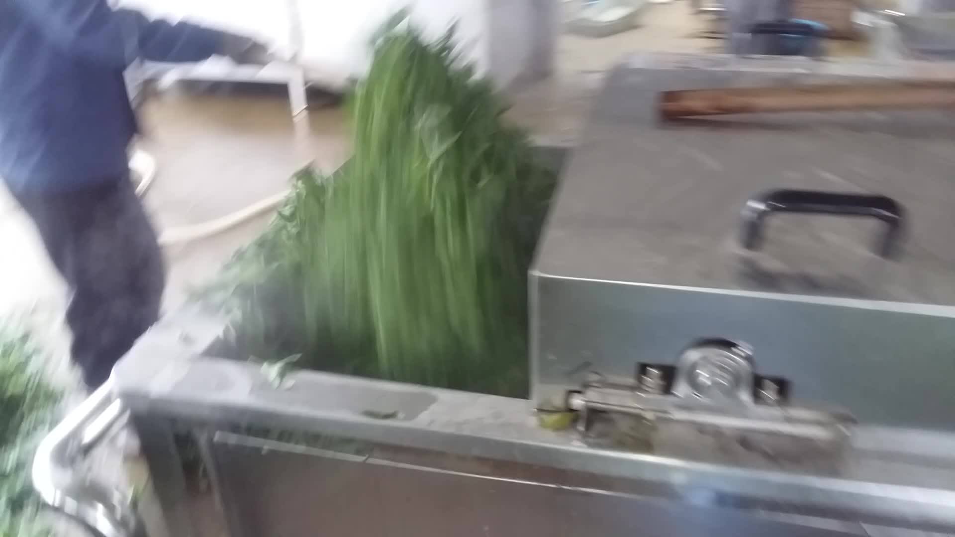 Industrial Vegetable And Fruit Blanch Machinery For Blanching ...