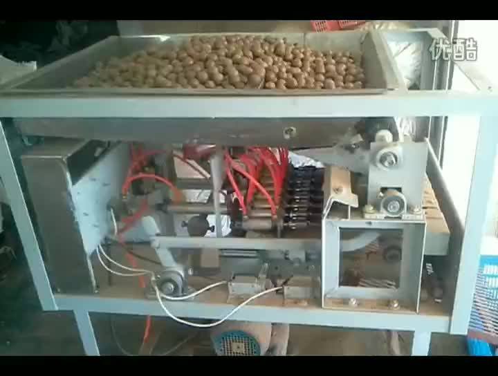 Hawaiian Fruit Macadamia Nut Cutting Opening Cracker Machine - Buy ...