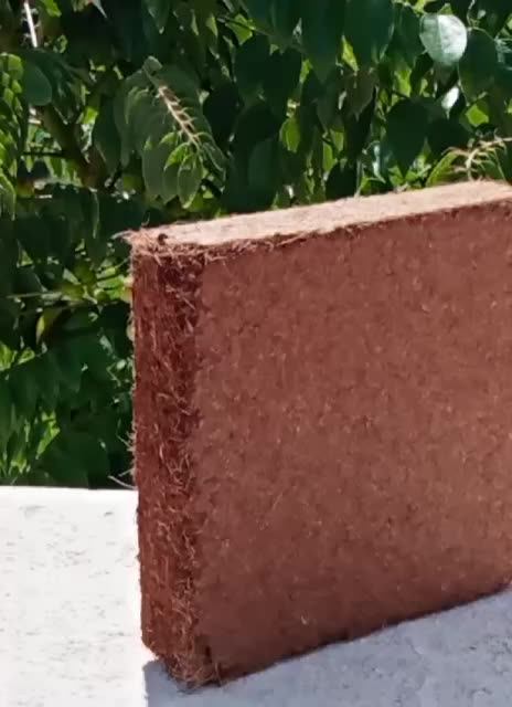 Coconut Plant Coconut White Coir Pith Blocks Cocopeat Farming Bulking ...