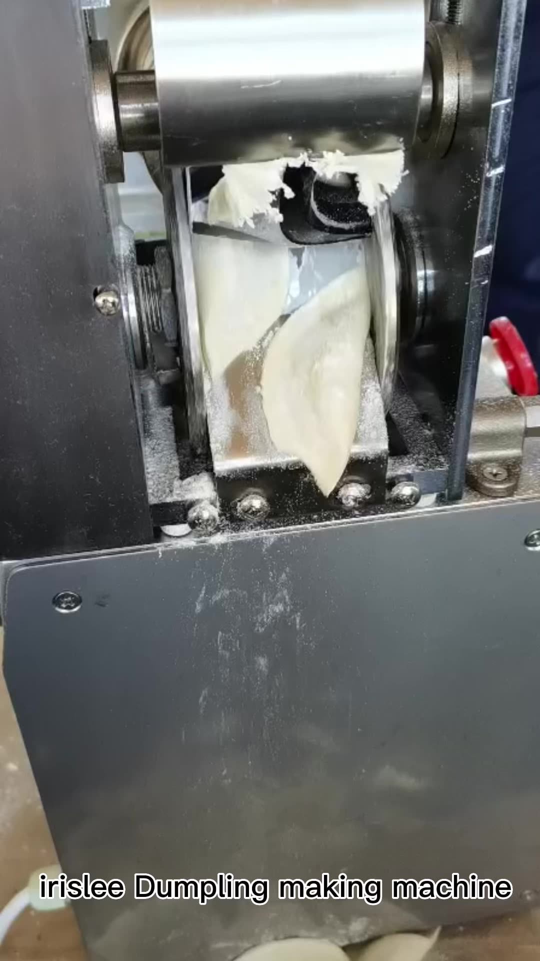 110v/220v Automatic Russia Ravioli Pierogi Pelmeni Gyoza Tortellini ...