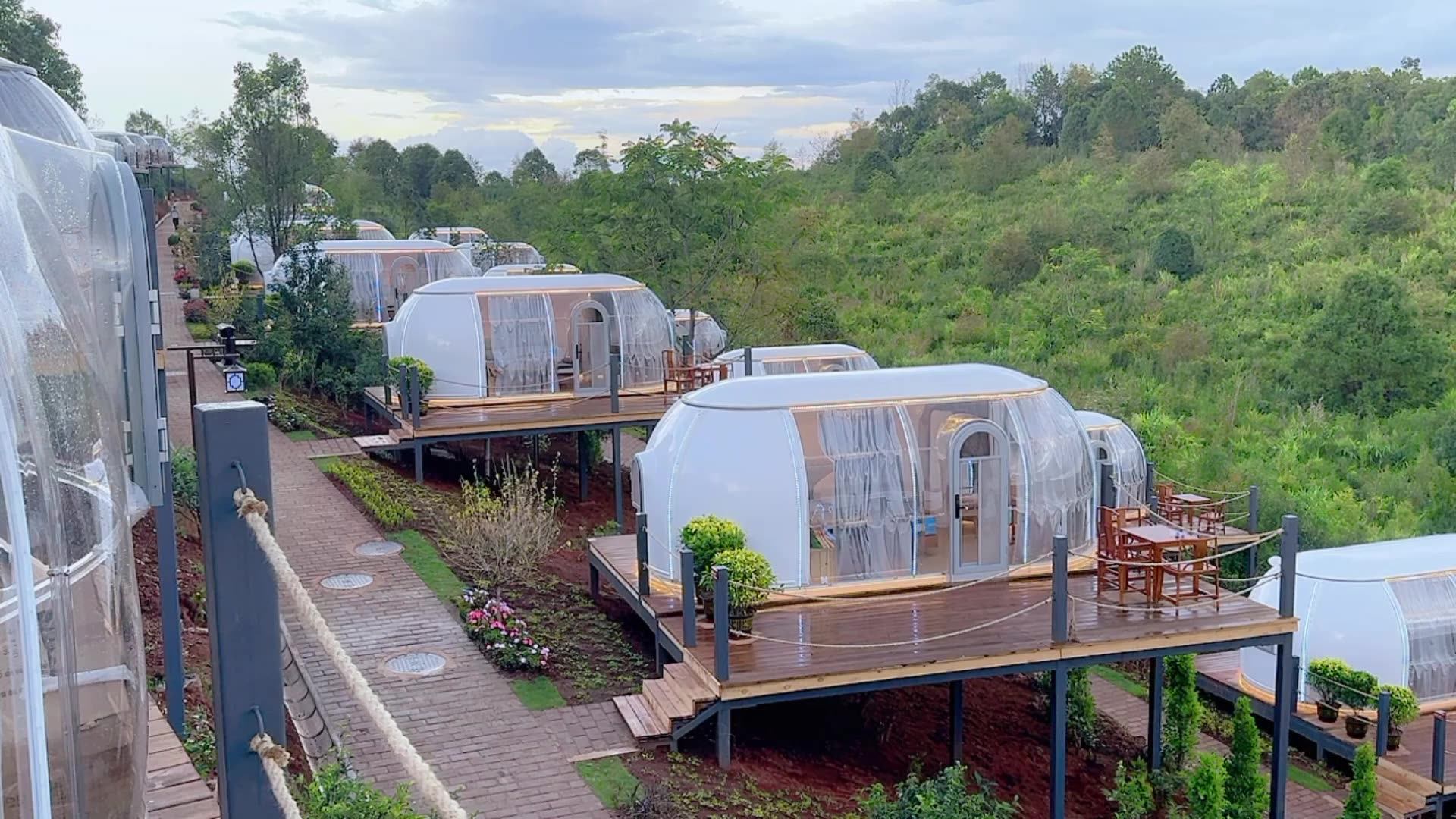 Lucidomes 2024 3x6m Camping Capsule Dome Clear Pc Geodesic Lounge Tent ...