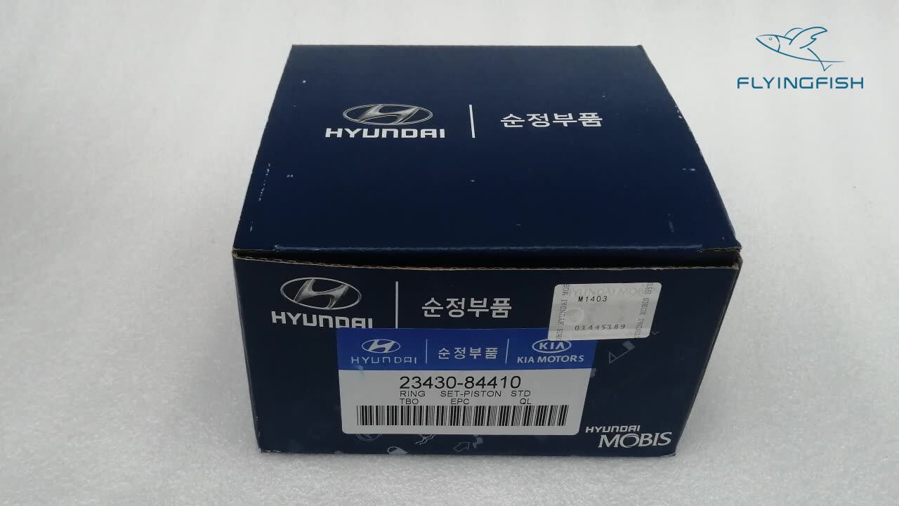 Wholesale D6cb Diesel Engine Parts Piston Ring 23430-84410 2304084410 ...