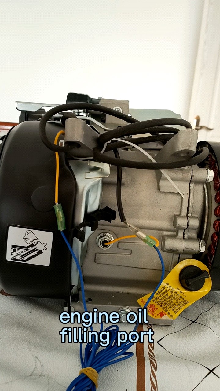 5kw Gasoline Generators 12v Range Extender Wind Power Generation System ...