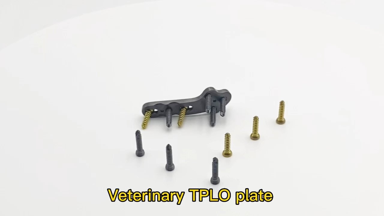 Orthopedic Veterinary Implant Vet Locking Plate Tibial Plateau Leveling ...