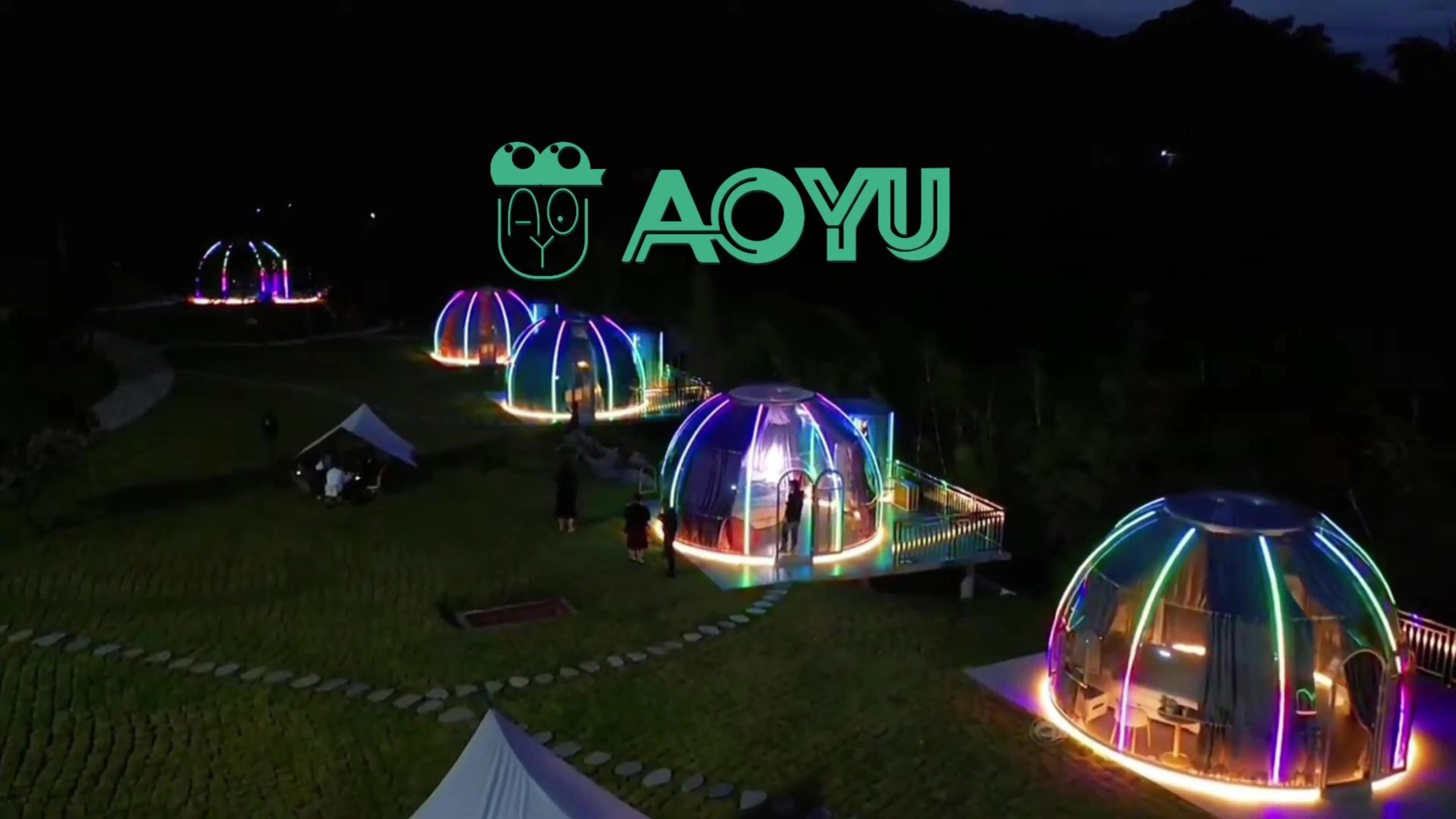 Aoyu Big Igloo Bubble Special Dome Party Tent House Glamping For Sojourn Homestay For Sale ...