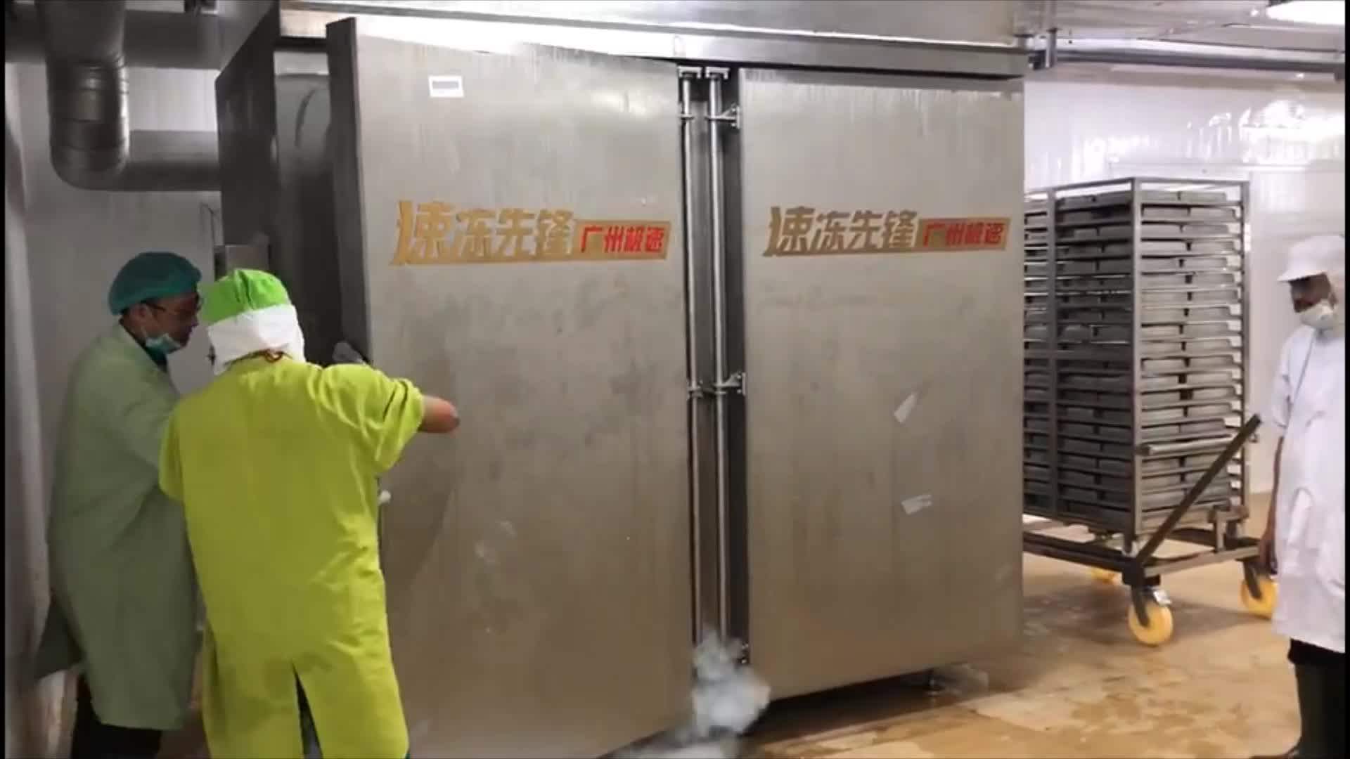 Industrial Cryogenic Fast Freezer,Liquid Nitrogen Quick Freezing ...