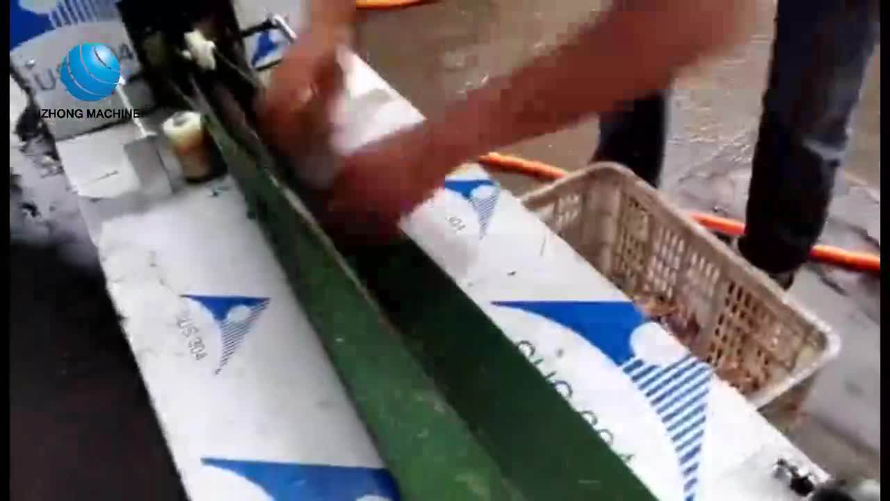 Automatic Small Fish Fillet Machine/ice Fish Kill Bag Machine/stainless ...