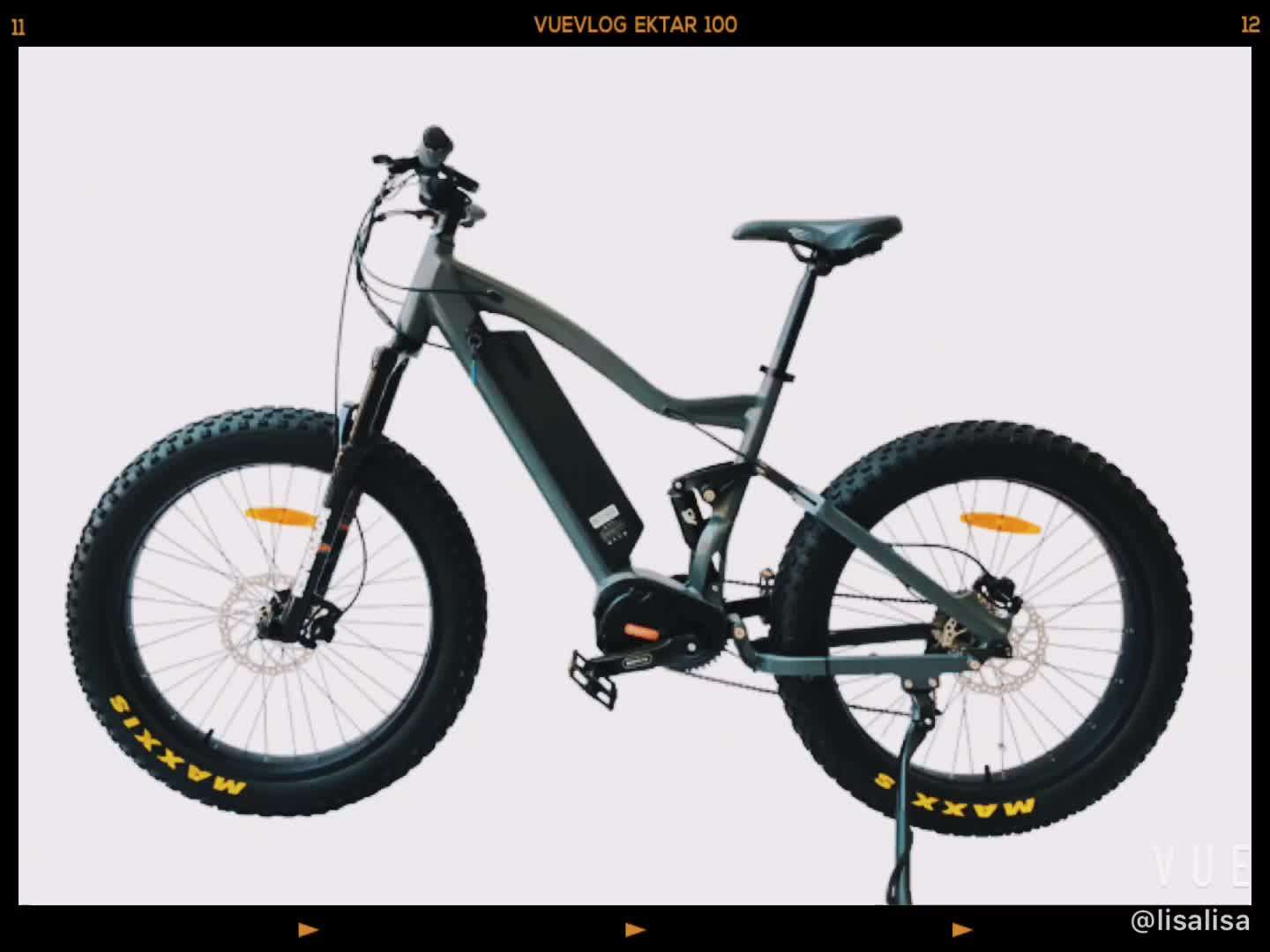 Queene/hot Selling 1000w Mid Drive Motor Fat Tire Electric E Bike ...